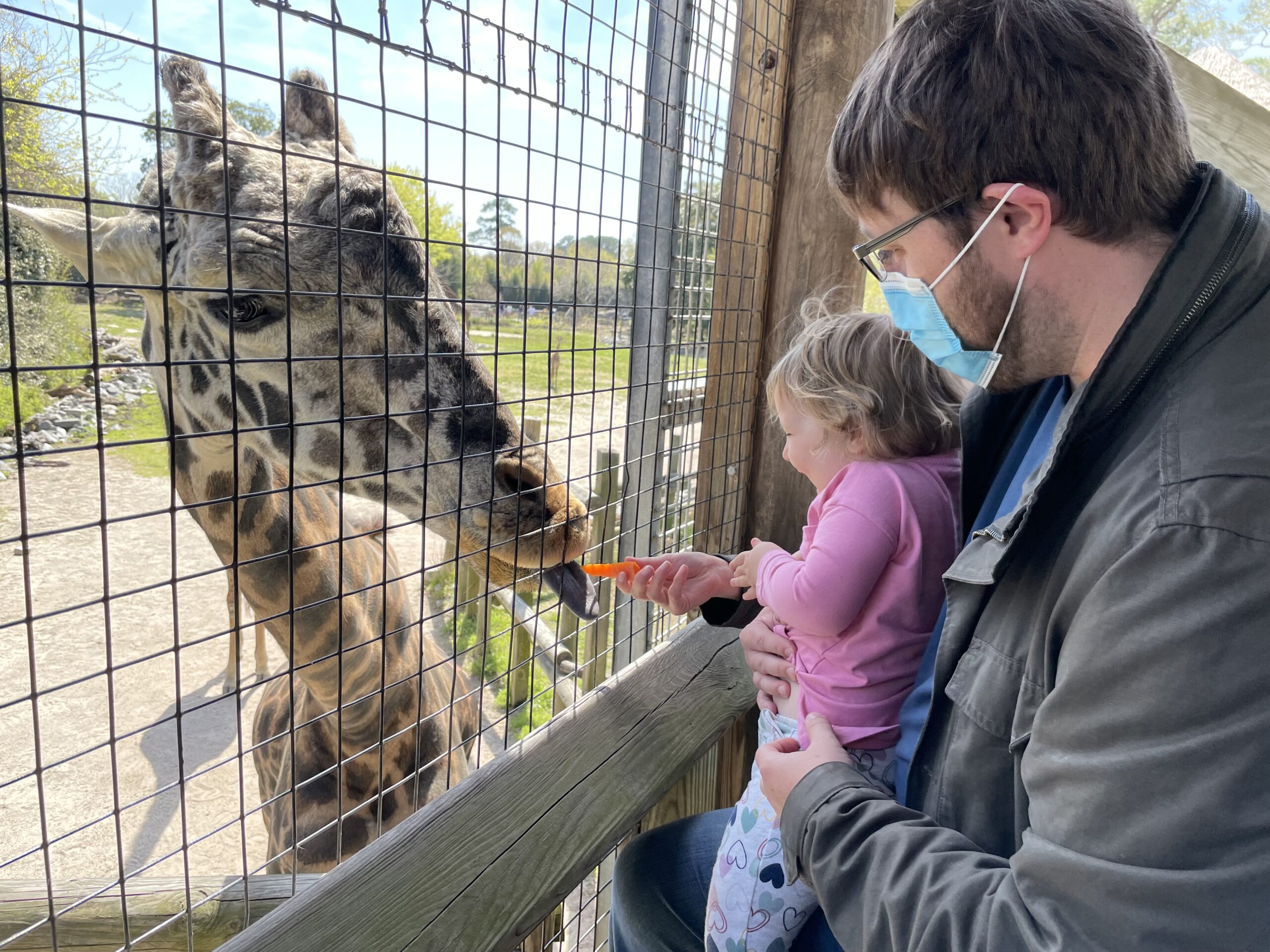 Visit the Virginia Zoo Animals Today!