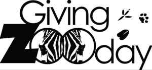 Emperor Scorpion - Virginia Zoo