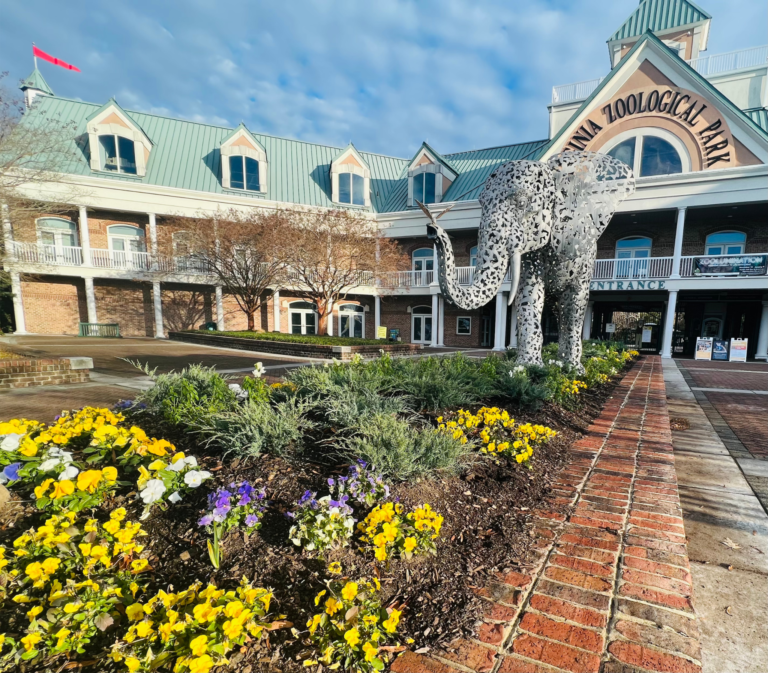 Visit the Virginia Zoo Animals Today!