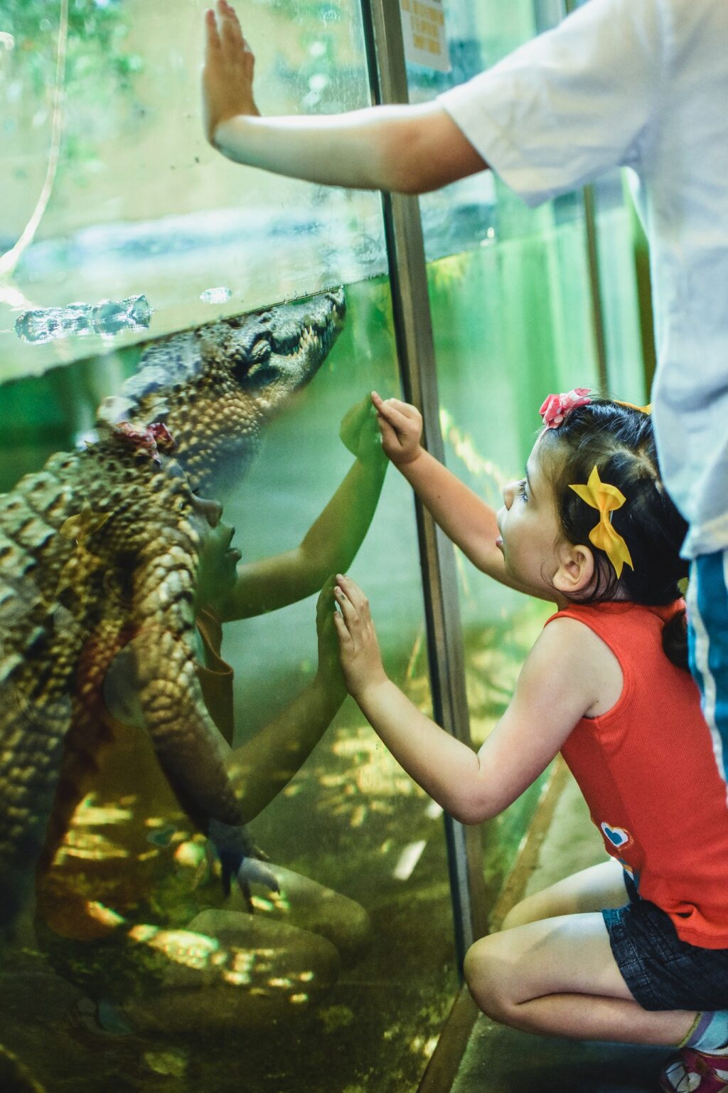 Visit the Virginia Zoo Animals Today!