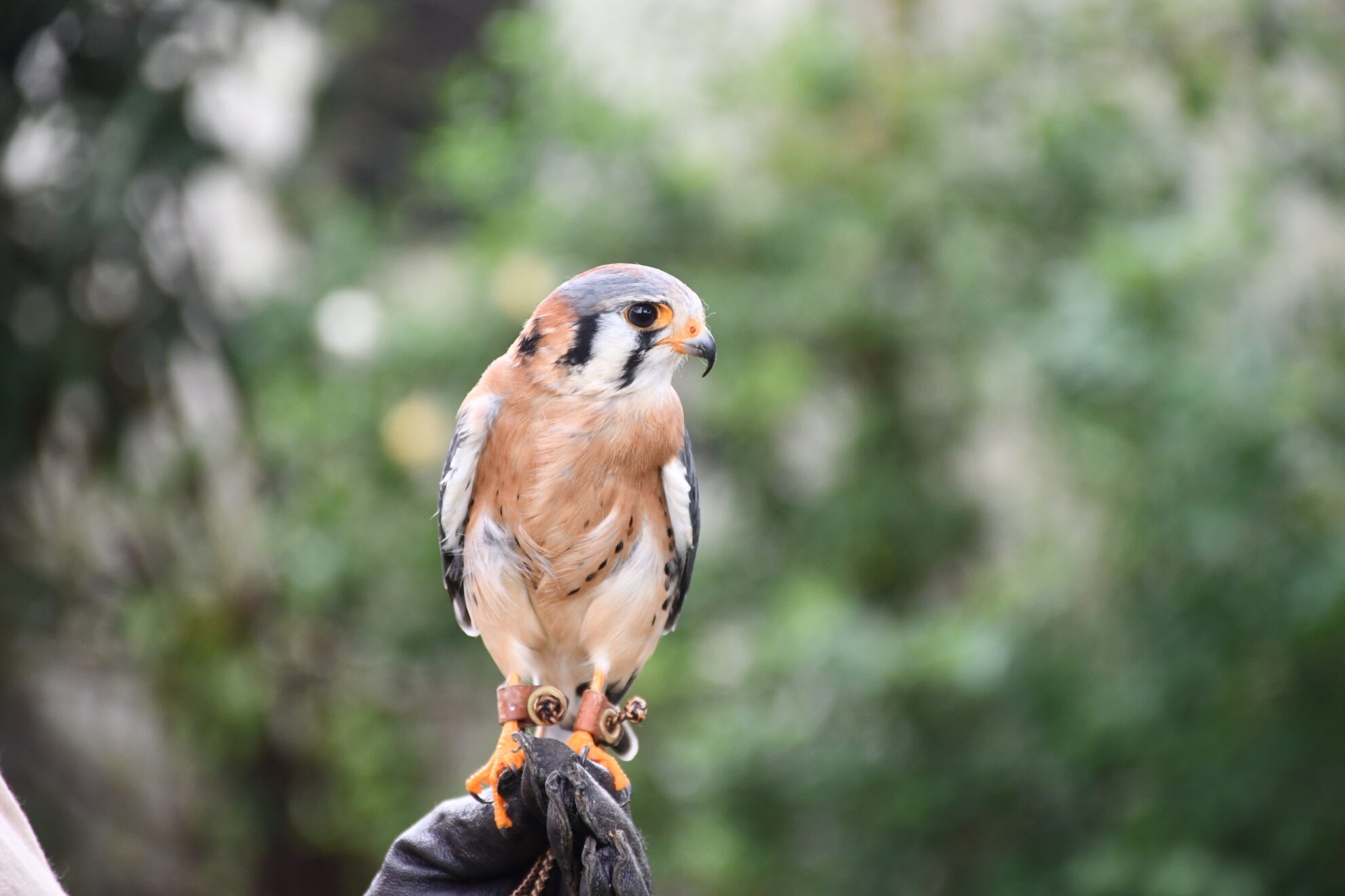 Visit the Virginia Zoo Animals Today!