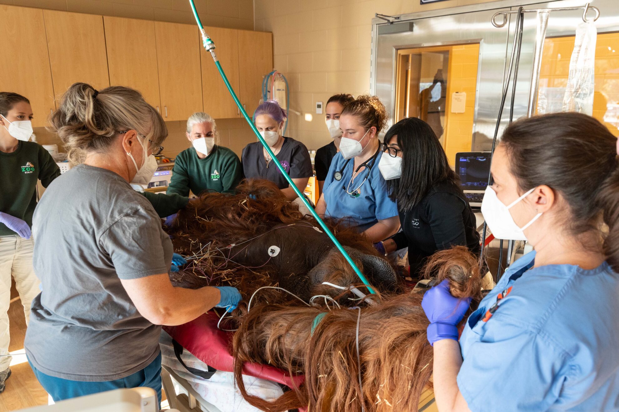 Visit the Virginia Zoo Animals Today!