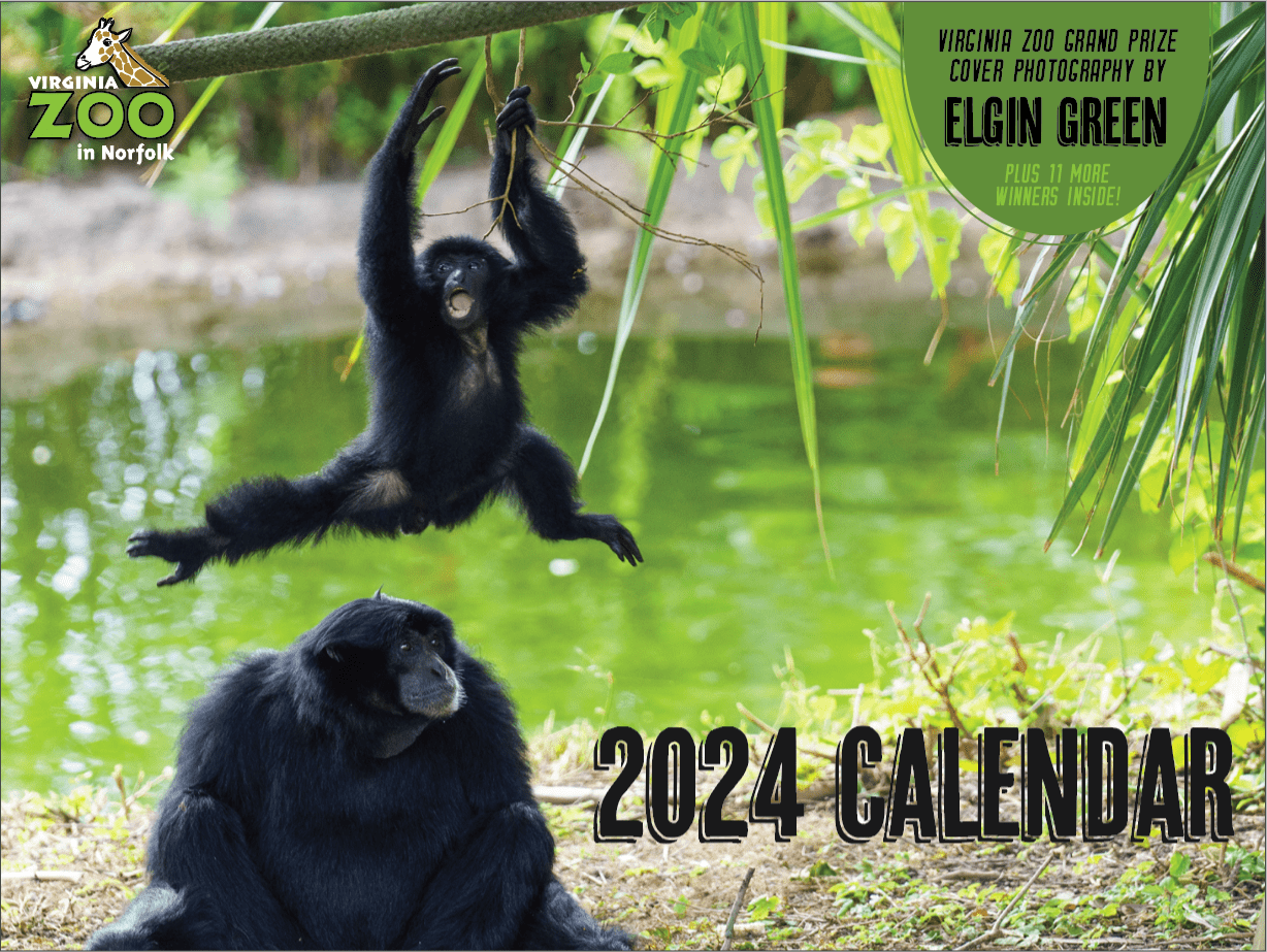 Visit the Virginia Zoo Animals Today!