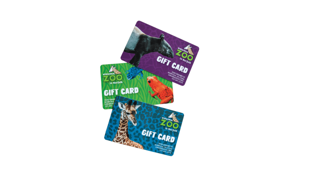 Visit the Virginia Zoo Animals Today!