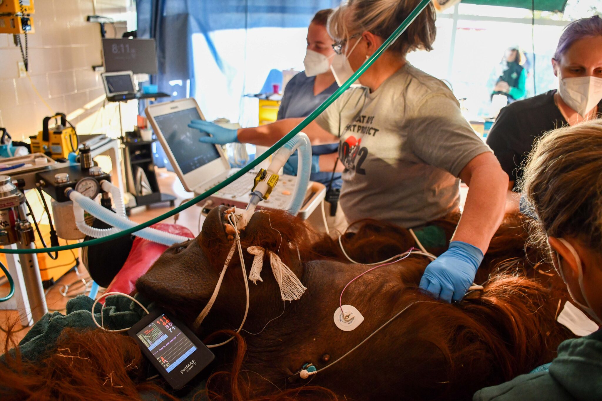 Visit the Virginia Zoo Animals Today!
