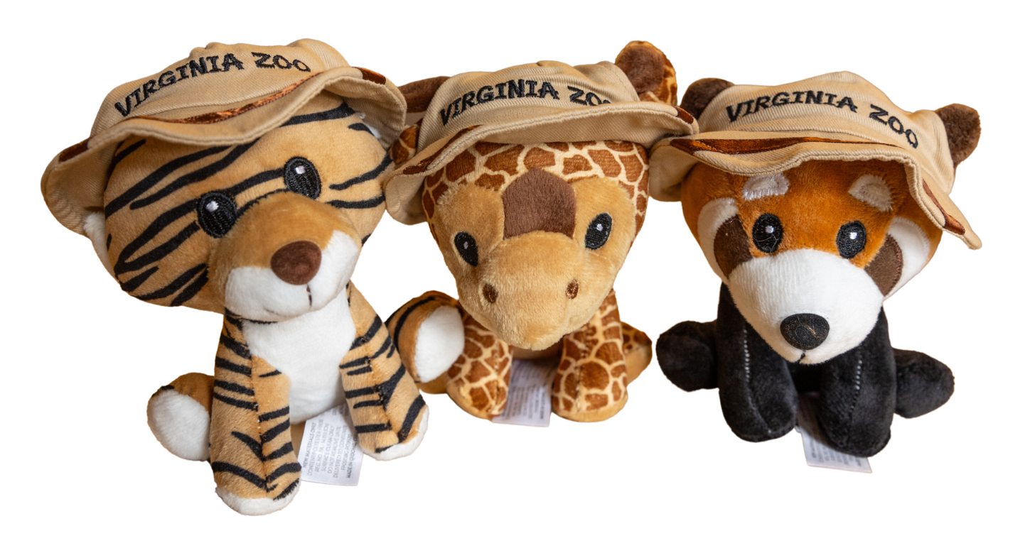 Visit the Virginia Zoo Animals Today!