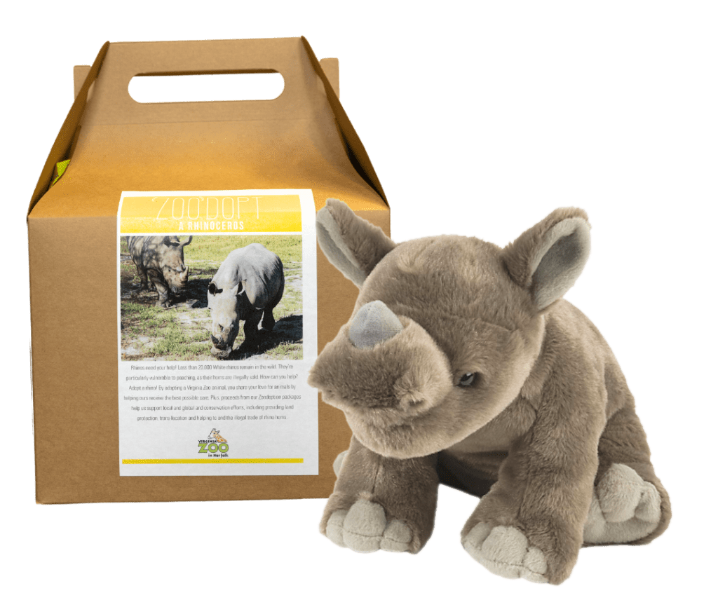 Visit the Virginia Zoo Animals Today!