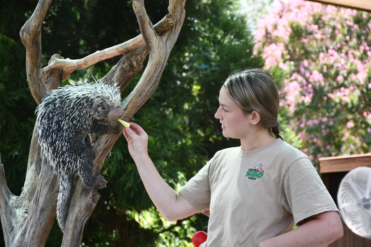 Visit the Virginia Zoo Animals Today!