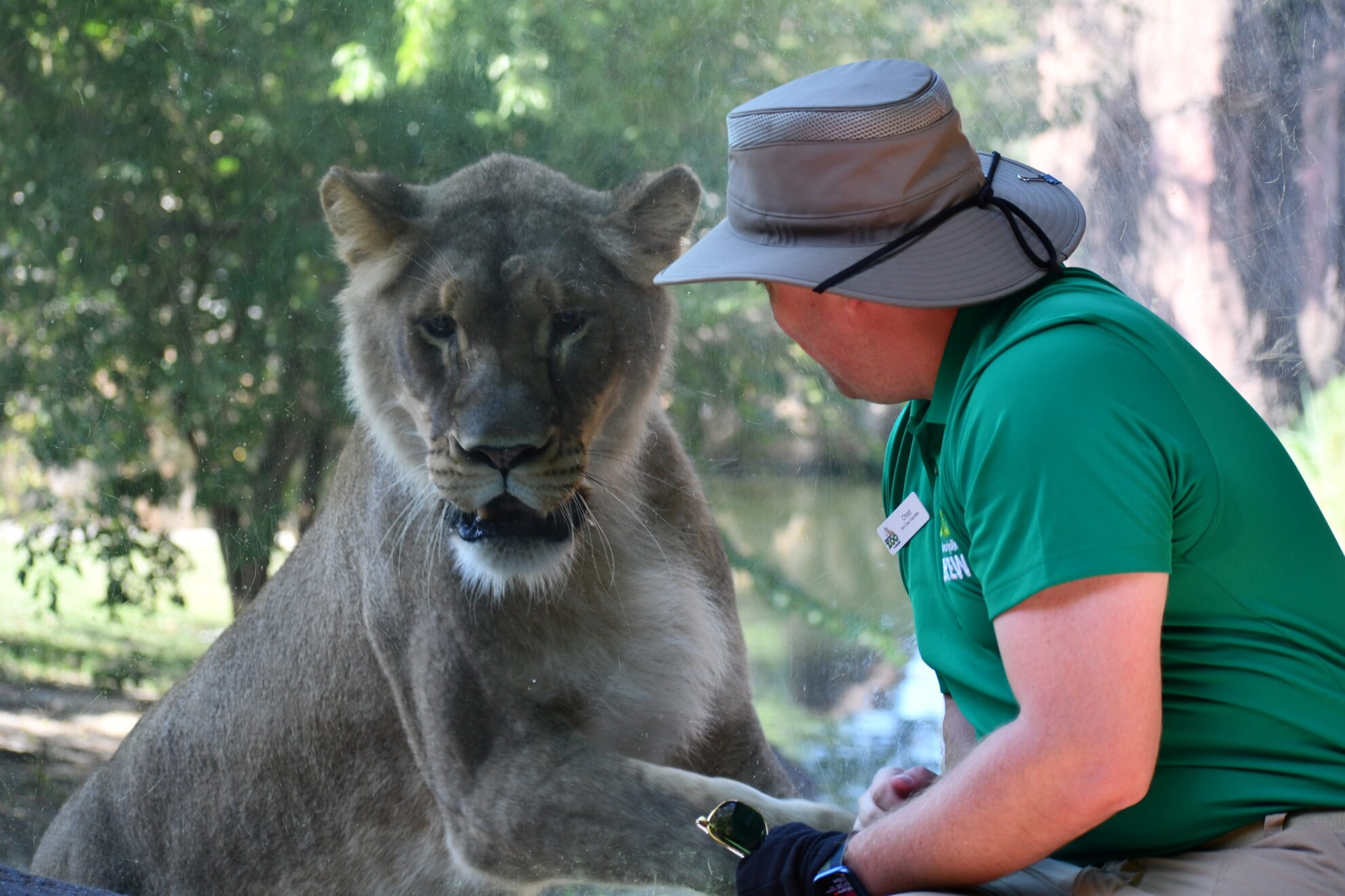 Visit the Virginia Zoo Animals Today!