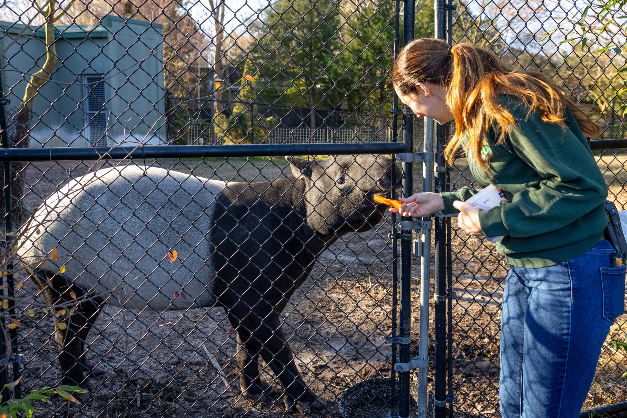 Visit the Virginia Zoo Animals Today!