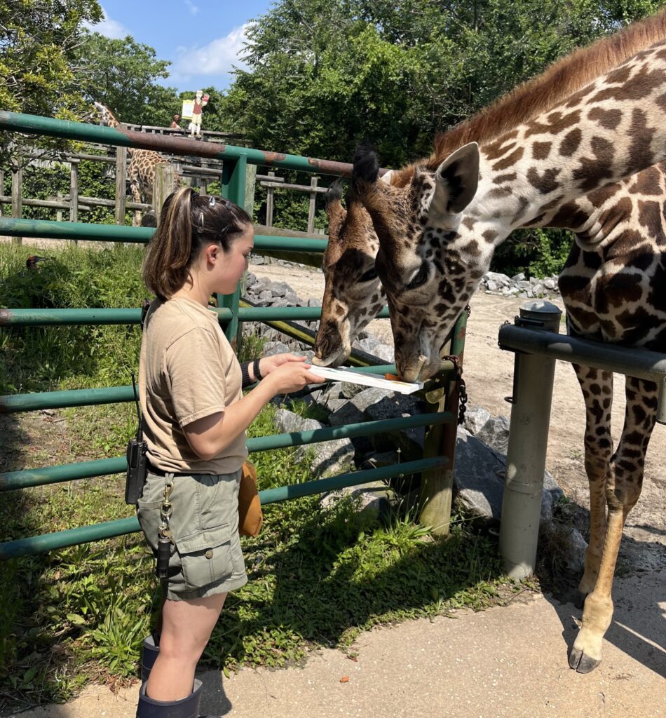 Visit the Virginia Zoo Animals Today!