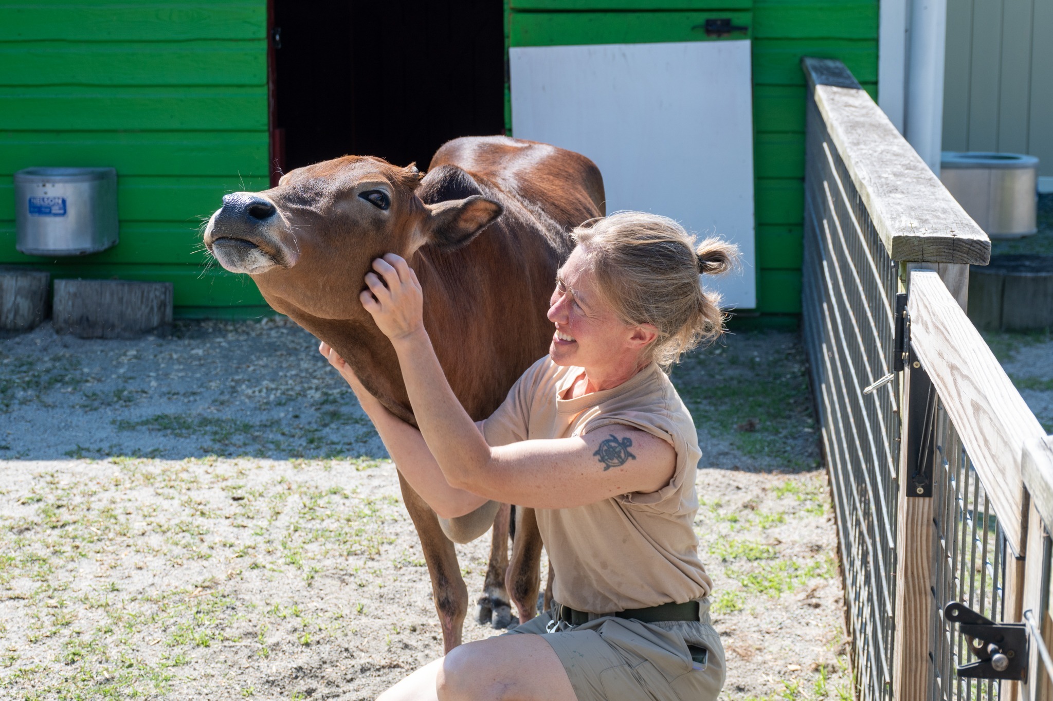Visit the Virginia Zoo Animals Today!