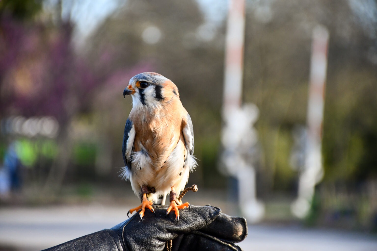 Visit the Virginia Zoo Animals Today!