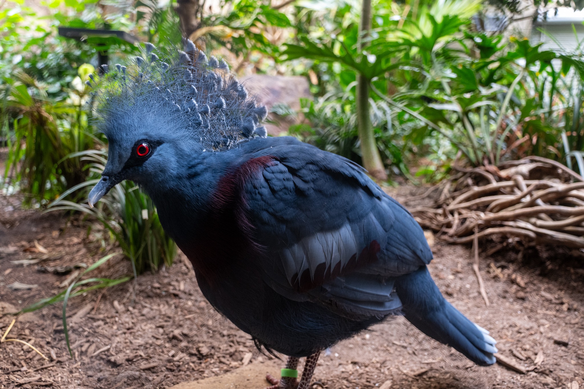 Visit the Virginia Zoo Animals Today!