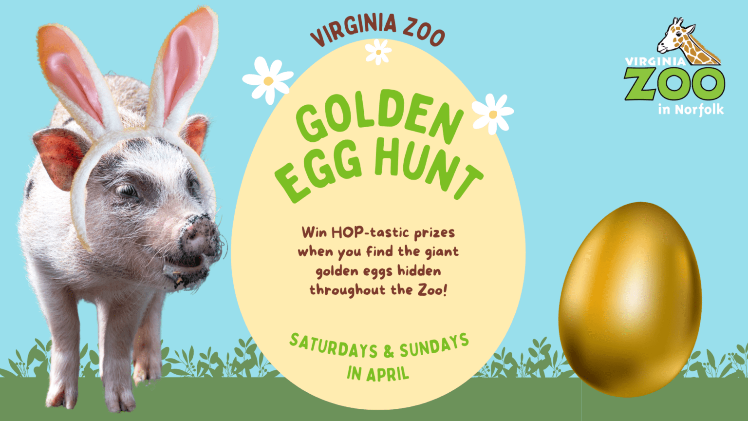 Visit the Virginia Zoo Animals Today!