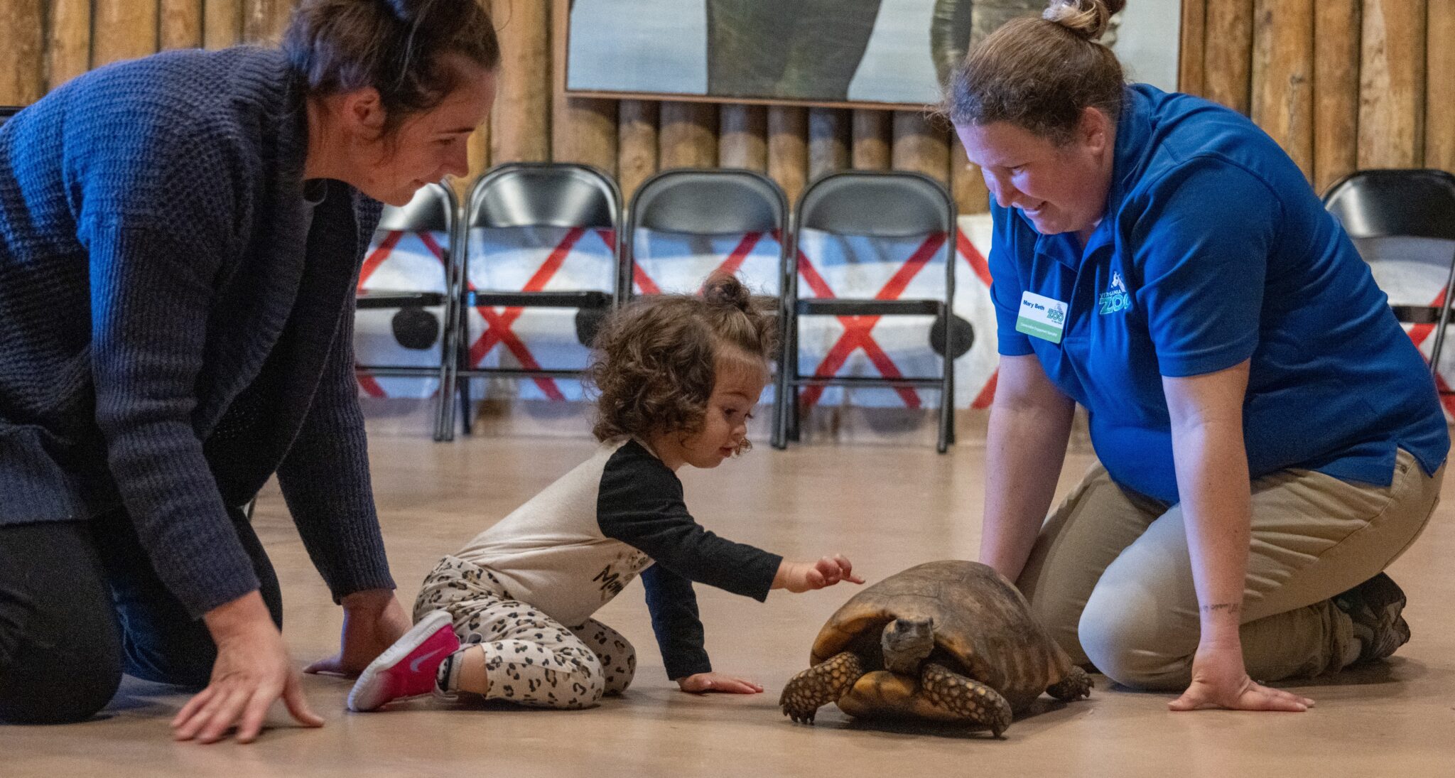 Visit the Virginia Zoo Animals Today!