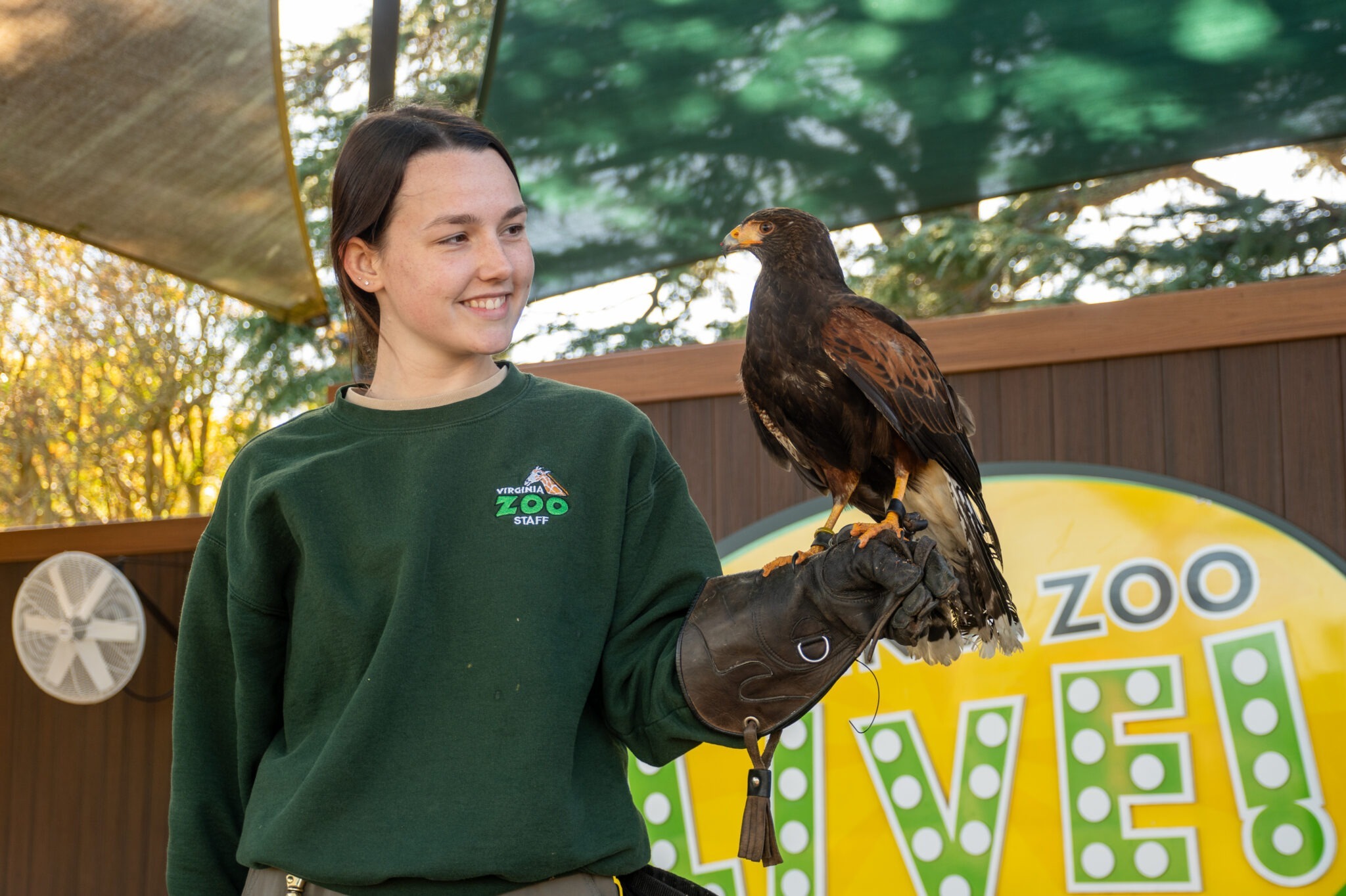 Visit the Virginia Zoo Animals Today!