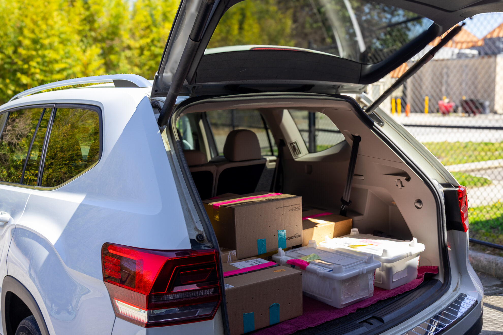 Visit the Virginia Zoo Animals Today!