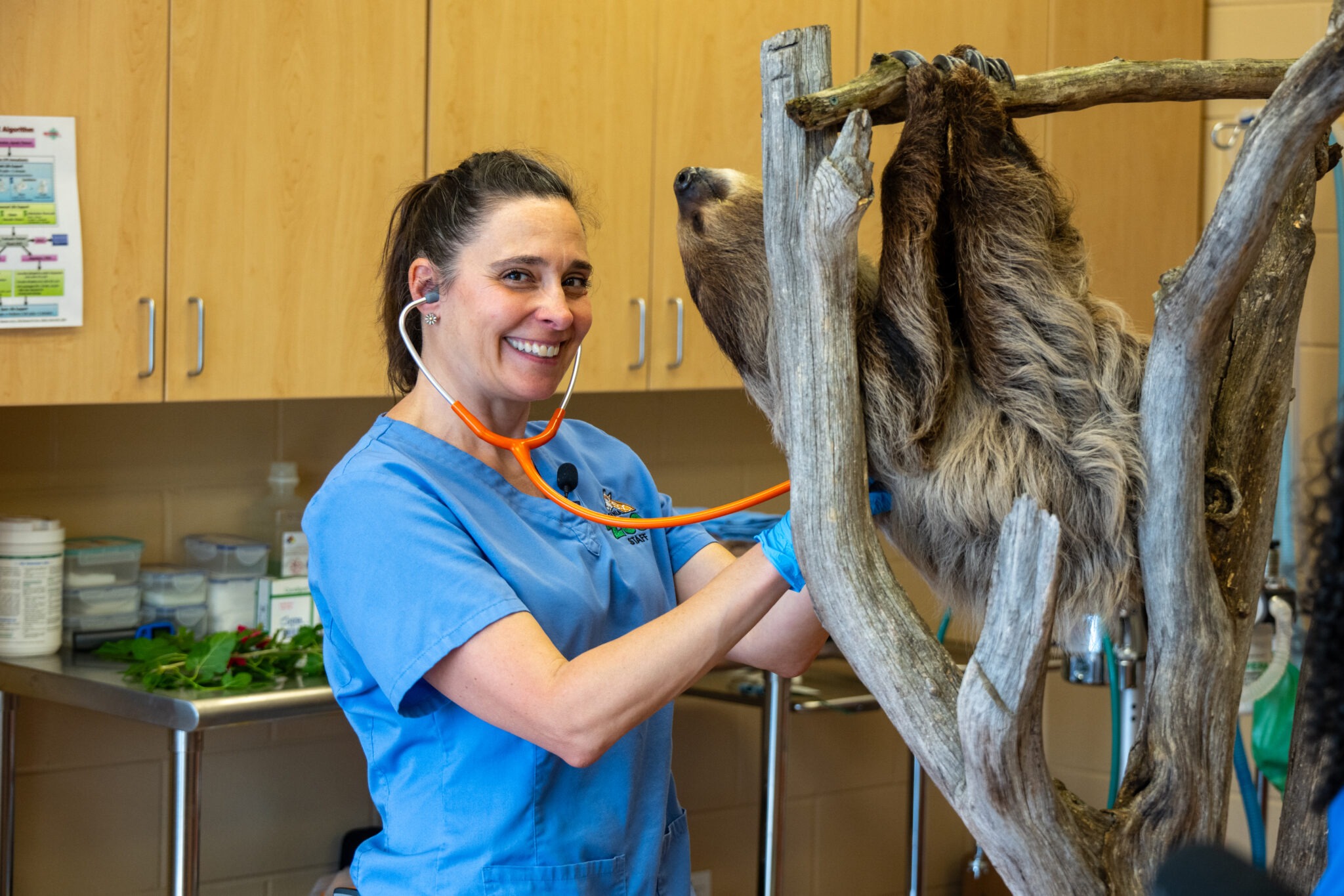 Visit the Virginia Zoo Animals Today!