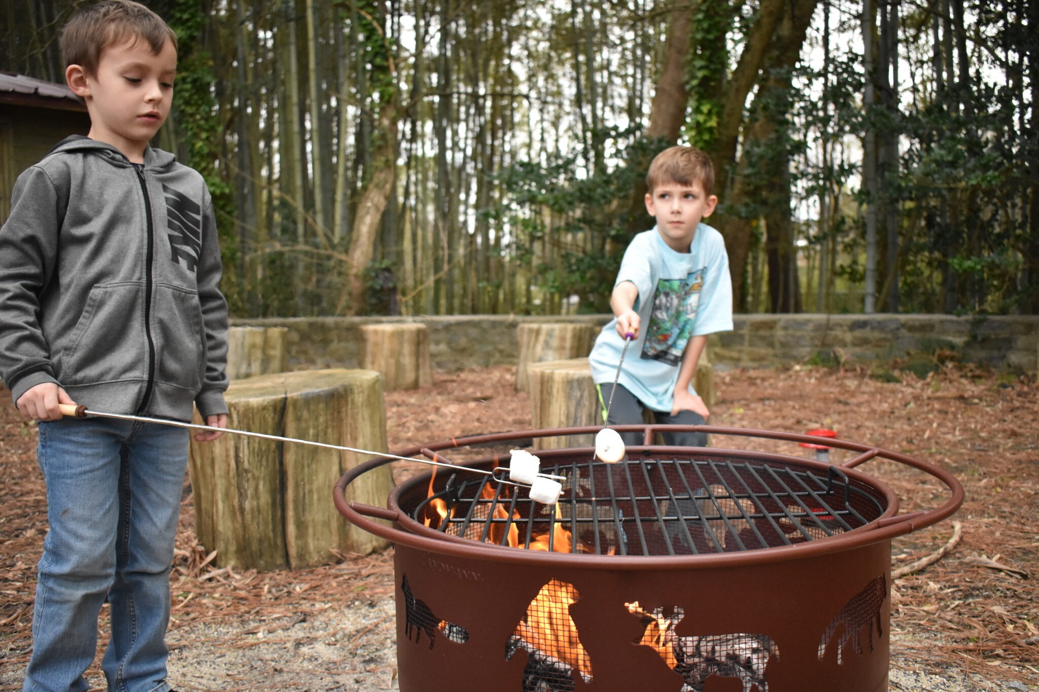 Visit the Virginia Zoo Animals Today!