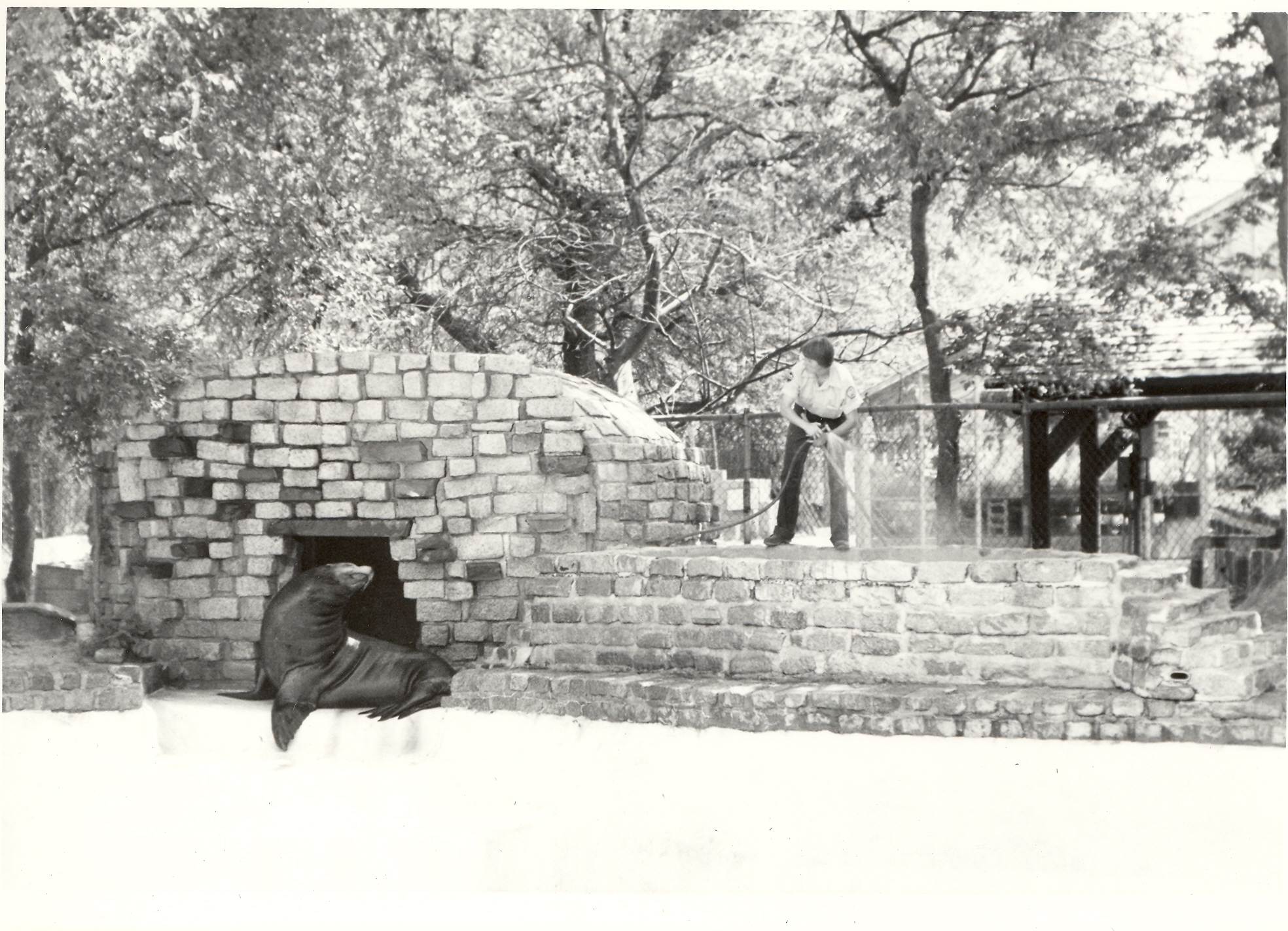 Visit The Virginia Zoo Animals Today