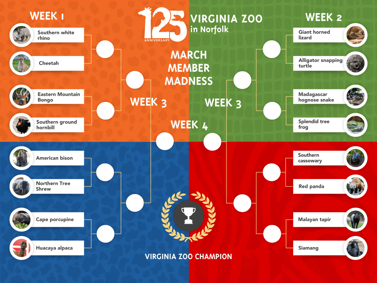 Visit the Virginia Zoo Animals Today!